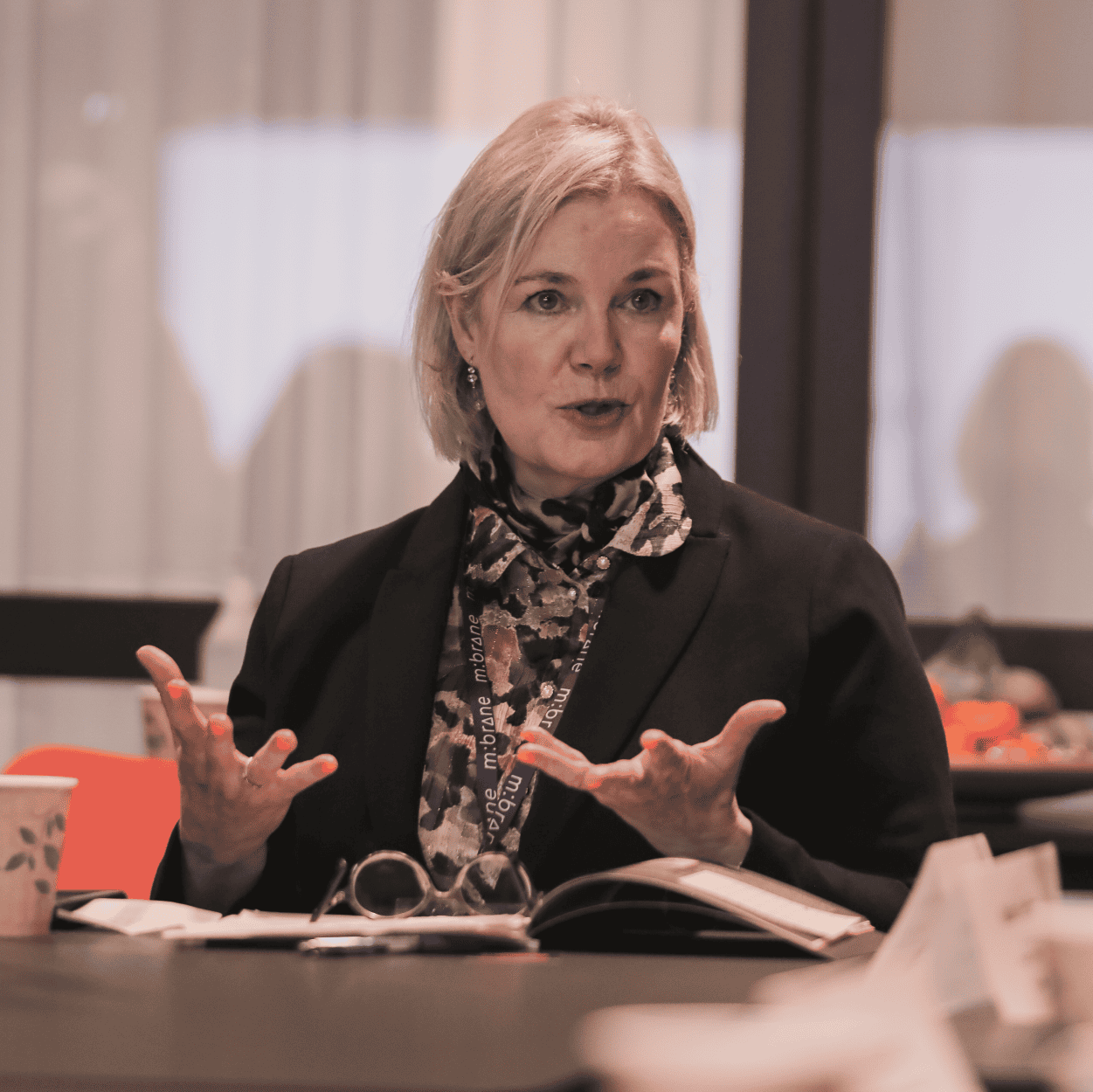 Revisit The Pitches and Media Coverage - m:brane